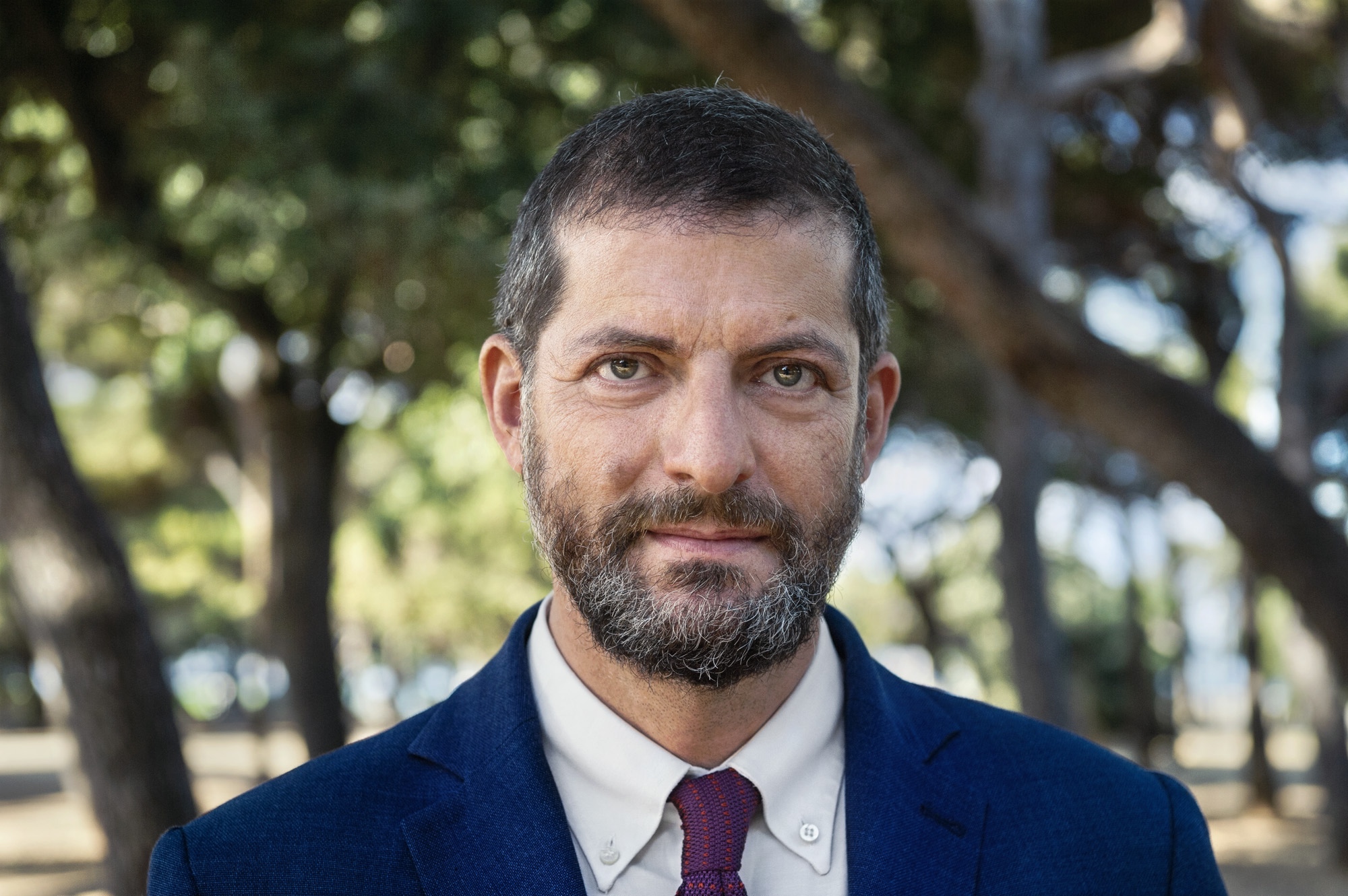 Andrea Romano – Curriculum Vitae Inglese – Dipartimento di Storia ...